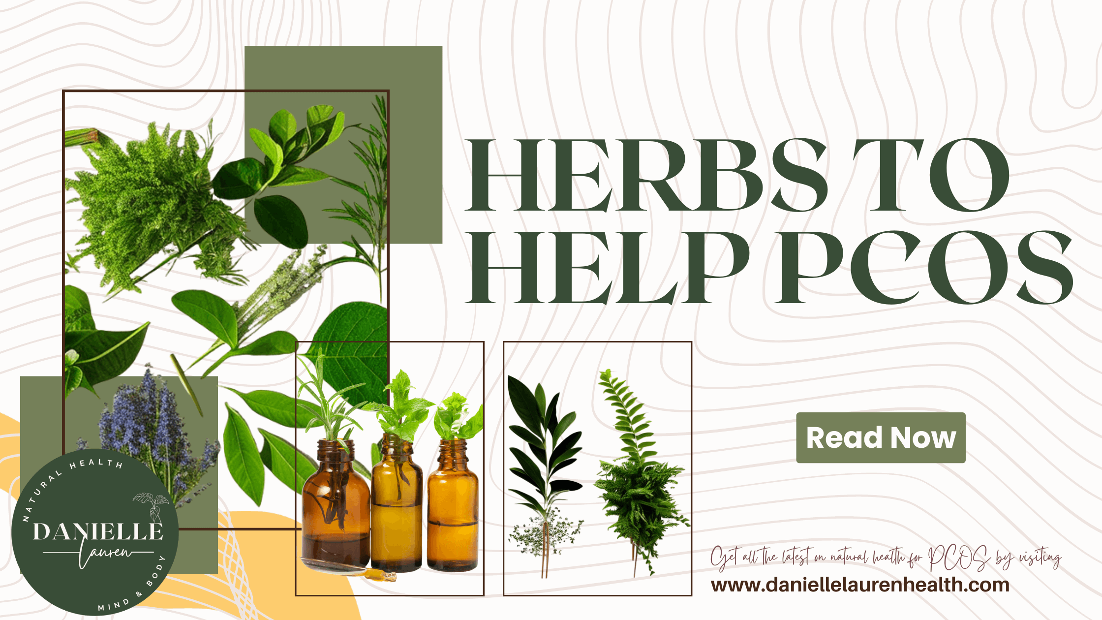 PCOS Natural Health | Natural Herbs Helpful For PCOS
